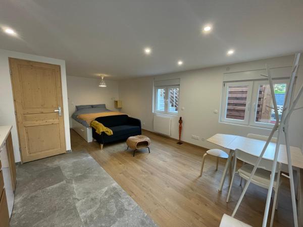 Cozy Studio In A Central And Quiet Area Near Basel - Elsass