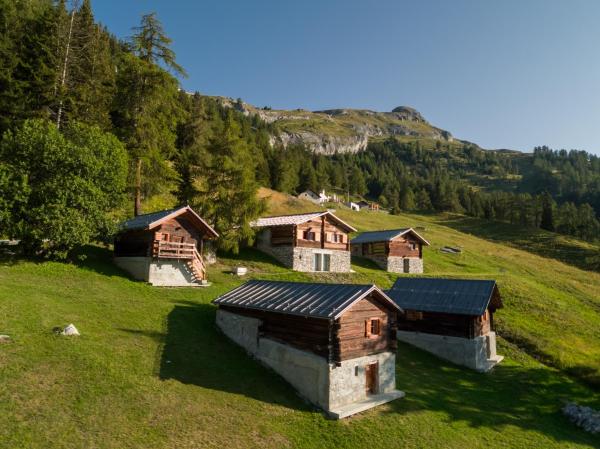 Le Mayen De Colombire - Vercorin