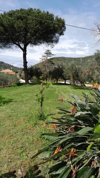 Casa Vacanze Villa Milù - Castellabate