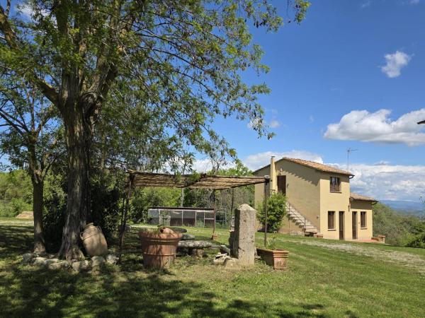 Agriturismo Collina Degli Ulivi - Montepulciano