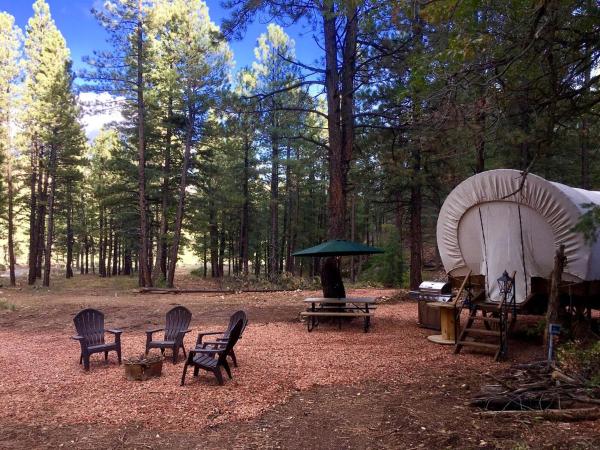 Well-equipped Conestoga Wagon Rental For A Family Vacation In Alton, Utah - Utah