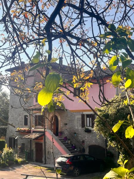 B&b Camelia - Pistoia