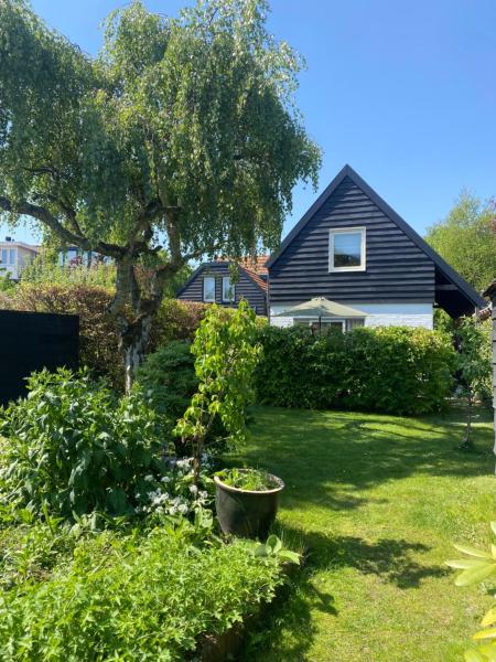 Tiny House De Oude Berg - Schoorl