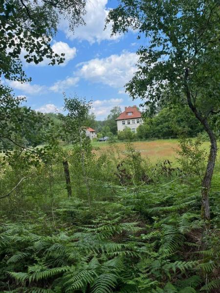Country House Villa Near Berlin - Marienwerder