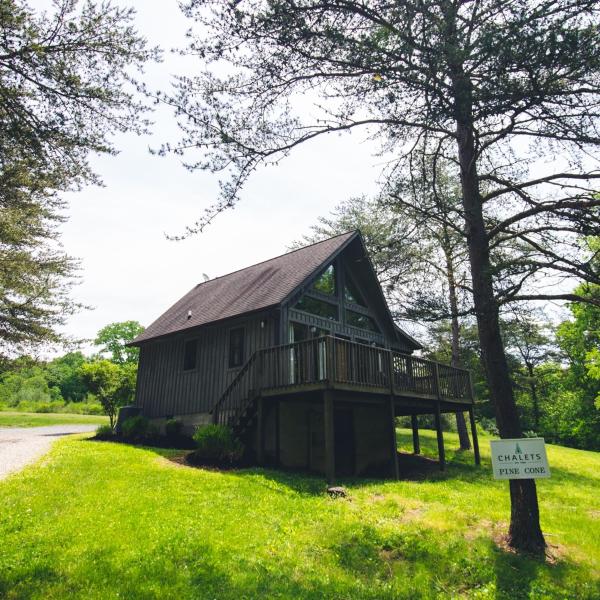 Pine Cone - By The Chalets - Hocking Hills State Park, OH