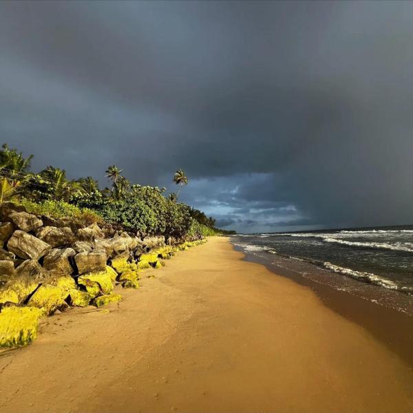 Peaceful Homestay Near Kizhunna Beach - Thalassery