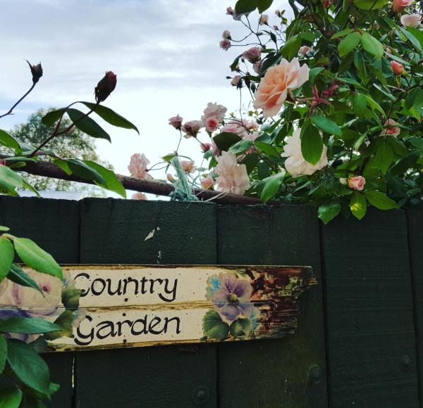Dragonflycottagebnb - Renwick