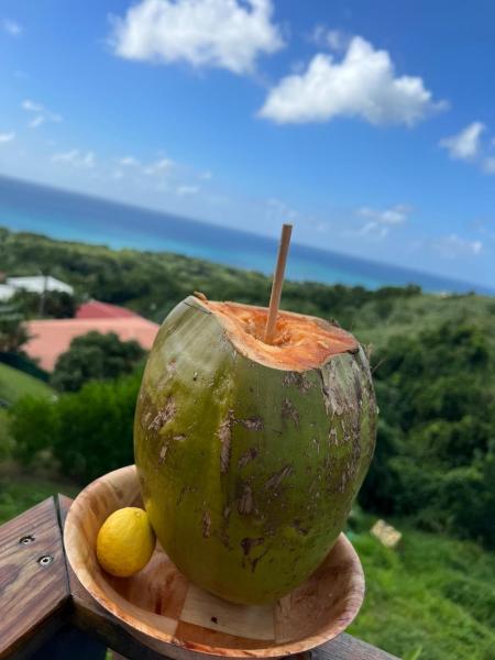 Le Petit Havre Appt Breathtaking Sea View - Martinique