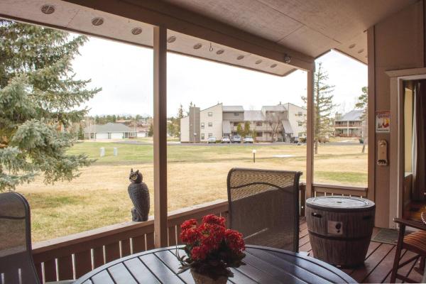 145 Davis Cup #4048 - Pagosa Springs, CO