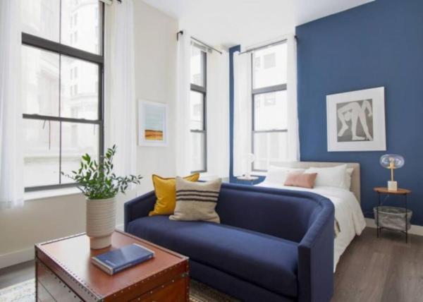Pet Friendly Studio Walk To Mgh - Downtown - Boston