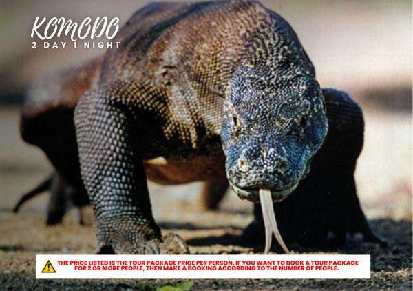 Komodo Tour 2d1n - East Nusa Tenggara