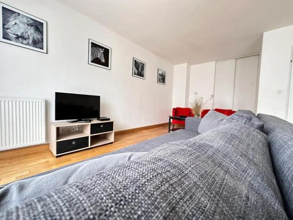 Venise 6 Couchages Avec Terrasse Hyper Centre - Reims