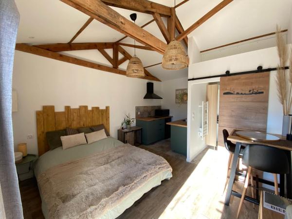 Paisible Studio Climatisé Avec Jardin Bassin Arcachon - La Teste-de-Buch