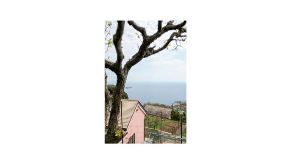 La Casa Tra Gli Ulivi - Cogoleto
