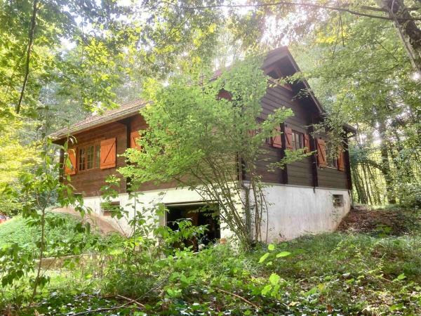 Holy Wood - Courtenay