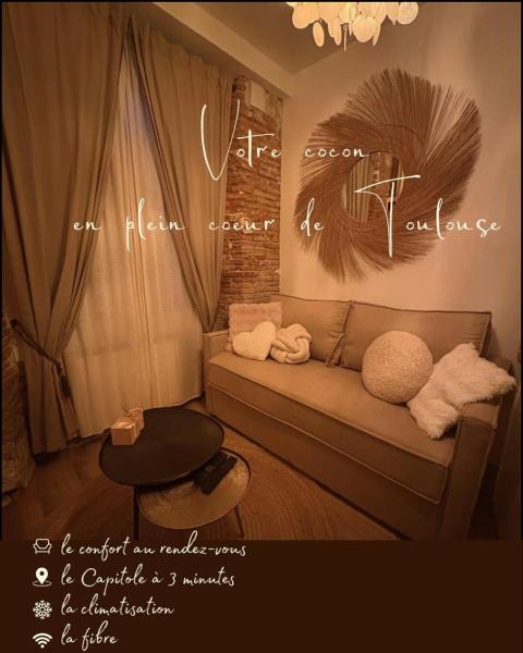 Le Petit Hôtel De Laura Cosy Parking & Netflix - Blagnac