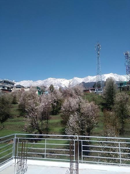 Tranquil Trails Home Stay Naddi - Himachal Pradesh