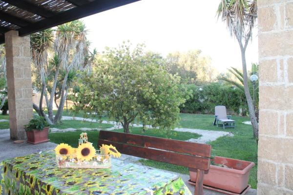 Vecchio Ulivo - San Cassiano