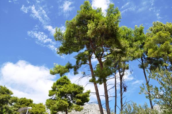 Apartments Lancek - Hvar