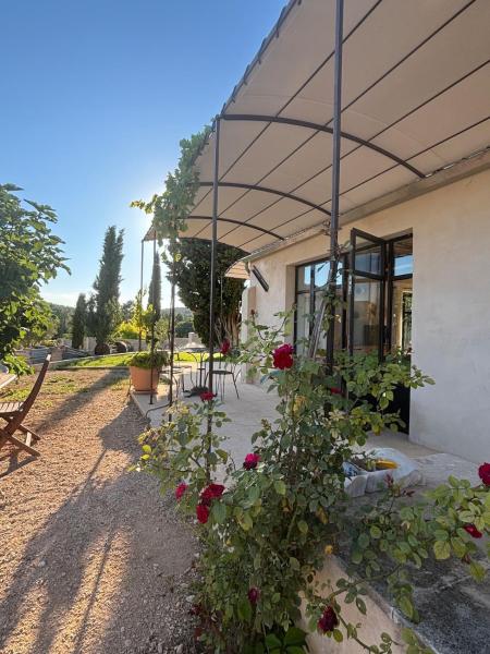 Brin D'olivier En Luberon - アプト