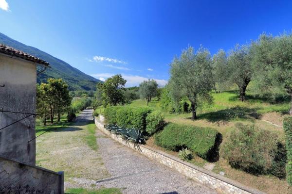 Il Gallo D' Oro - Oca - Terminillo