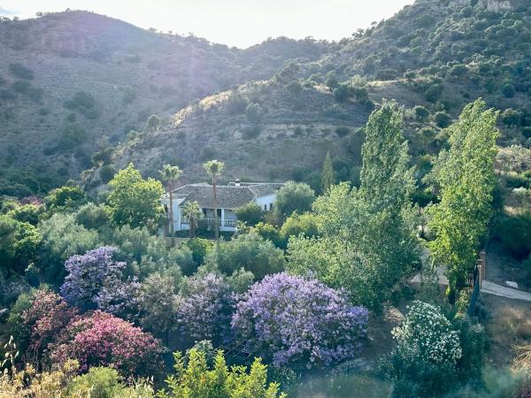 Authentic Luxury Villa In Oasis With Pool Close To Malaga - Casabermeja