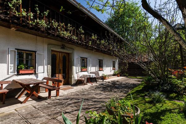 House, Garden And A Green Cat - Bled