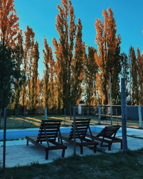 Ciruelos Del Sur - San Rafael Mendoza - San Rafael