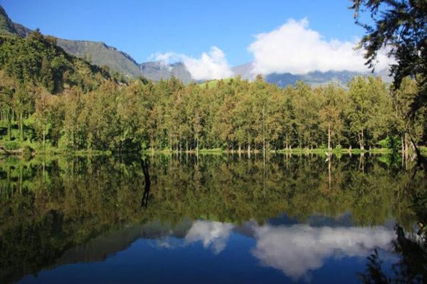 Ô Refuge D'l'bourg - La Réunion