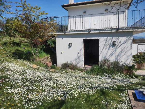 Casa Rosa Istria - Koper