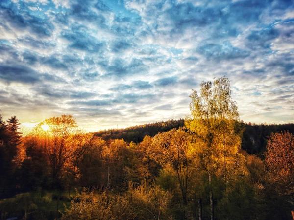 Quartier 3punkt0 Alte Steigerbaude - Saxony