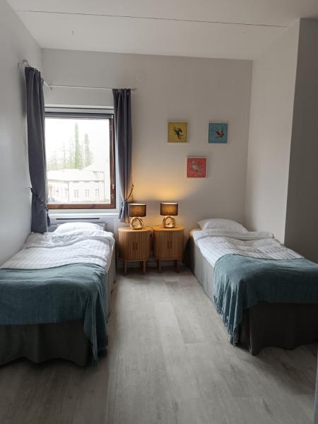 Walhalla Retro Apartment - Tammela