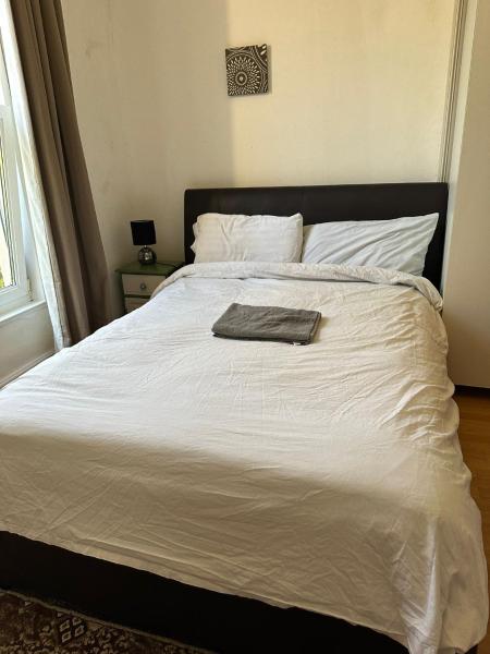 Budget Stay Near Singleton Hospital 5 - Mumbles