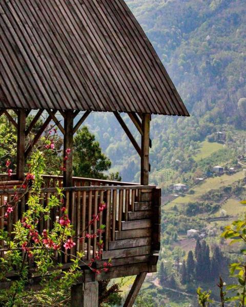 Hill Guesthouse - Wine Cellar, Fish Farm & Organic Cuisine - Georgia