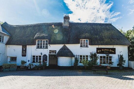 The Tuckers Arms - Honiton