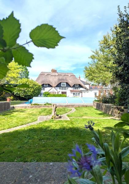 Beautiful Thatched Cottage With Outdoor Pool, Secure Garden, Dog & Family Friendly! Chichester Holiday Properties - Havant