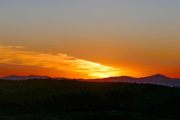 Lo Zio Ezio - Montepulciano