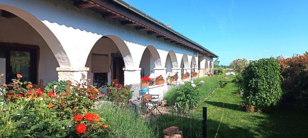 Villa Negra Vendégház - Balatonvilágos
