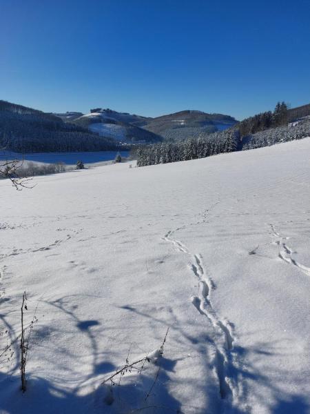 Gemütliche Dachgeschoss- Ferienwohnung Im Grünen - Sundern (Sauerland)