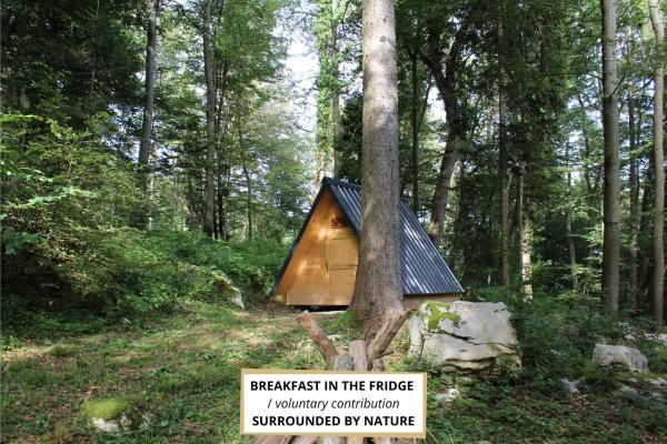 Glamping Zeleni Raj Vače - Slovenië