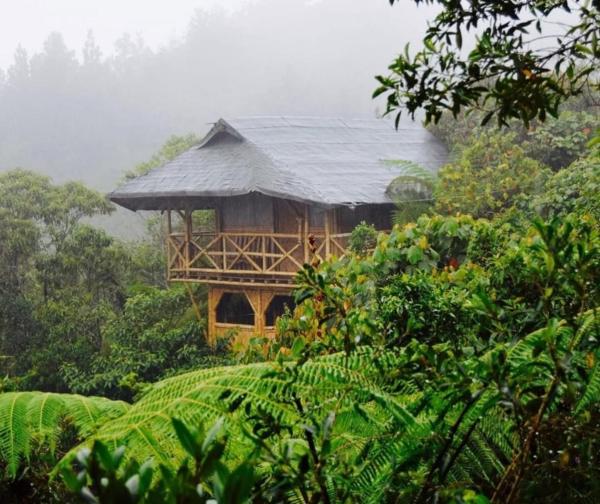 A Guatapé Del Bosque - Guatapé