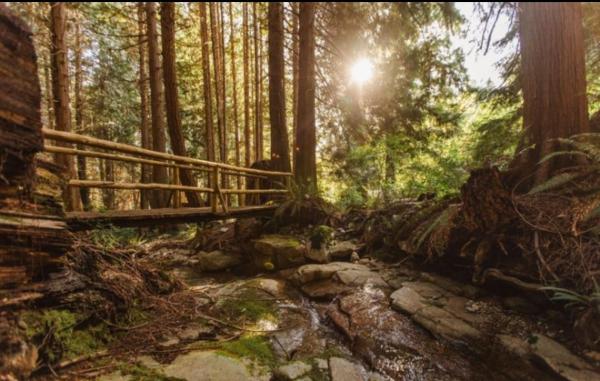 Hidden Creek Hideaway - Roberts Creek
