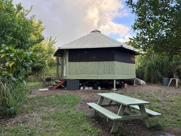Honey Homes - Hawaii