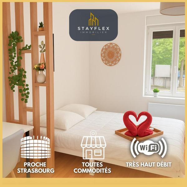 La Perle De Schiltigheim - Cosy & Lumineux - La Wantzenau