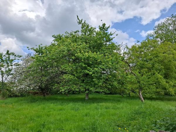 Maison De Vacances à La Campagne - La Souterraine