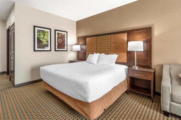 Best Western Plus Hinton Inn & Suites - Hinton, AB, Canada