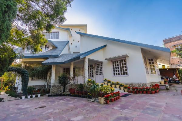 Saffron Leaf W567 - Dehradun