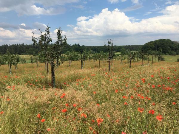 Villa Grande - Og Fewo Green Wellness - Mecklenburg-Vorpommern