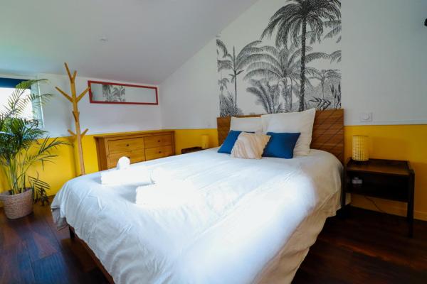 L'amazone - T2 Cosy Et Lumineux - Dordogne