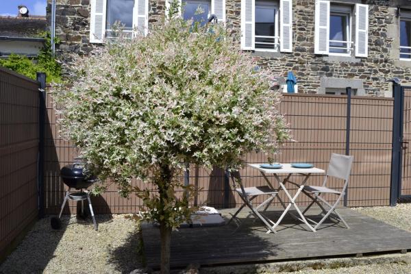Charmante Petite Maison Proche Du Port, Maison 7 - Binic